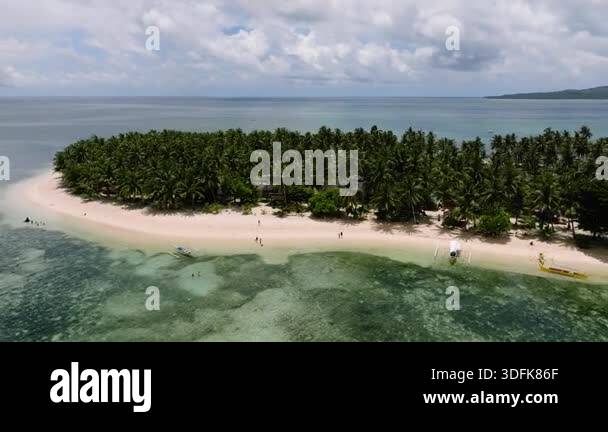 Curved sandy beach lined with palm trees meeting turquoise shallow ...