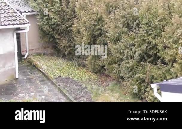 storm moving the trees between stone barns Stock Video Footage - Alamy