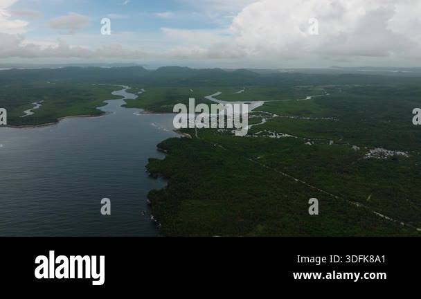 Meandering rivers joining the sea beside tropical forest and small ...