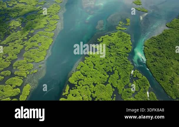 Turquoise lagoon water is bordered by lush mangrove forest and shallow ...