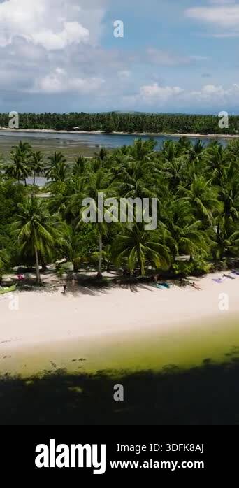 White sand beach shaded by palm trees with calm water along the shore ...