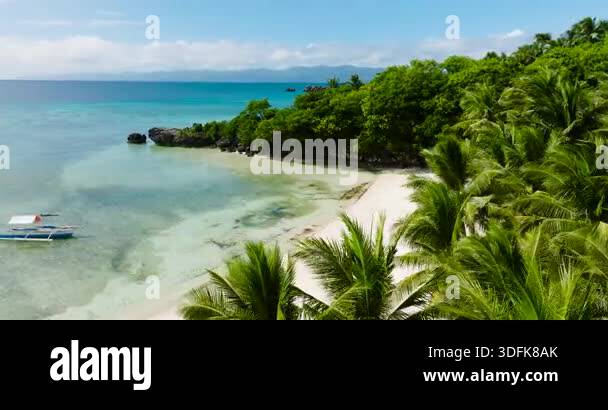 Boat on clear water and powdery white sand beach with coconut trees in ...