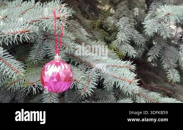 A pink faceted Christmas decoration swings from a fir branch in a ...