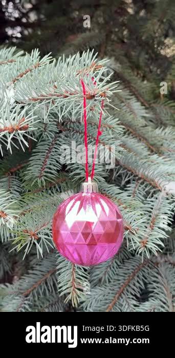 A pink faceted Christmas decoration swings from a fir branch in a ...
