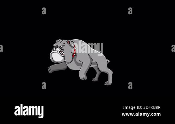 Cartoon bulldog walking with fierce expression Stock Video Footage - Alamy
