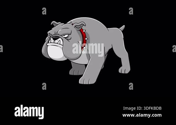 Angry bulldog standing with fierce expression Stock Video Footage - Alamy