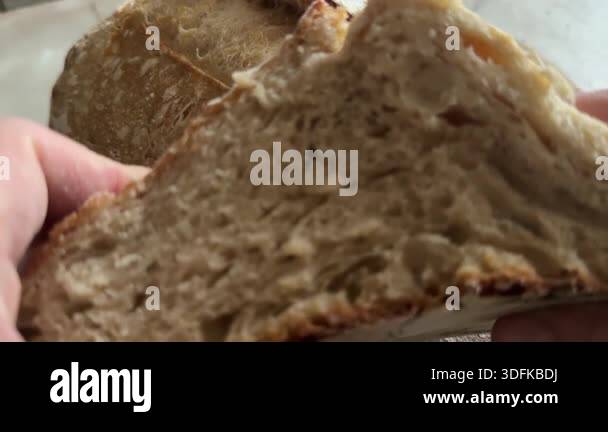 Hands squeeze fresh artisan bread with a porous crumb and crispy crust ...