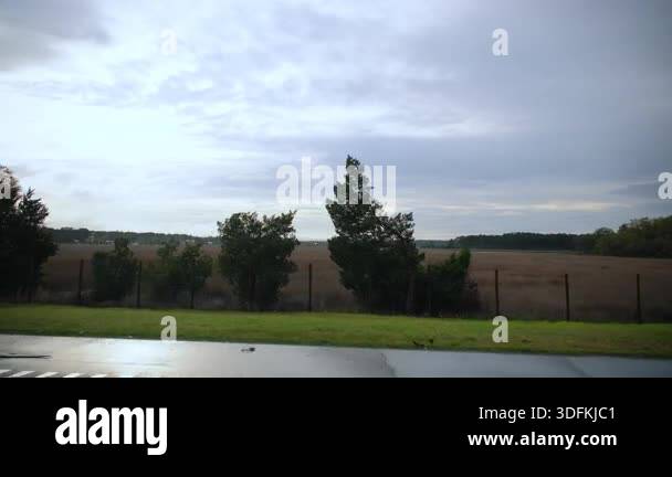 Trees lining the roadside filmed from a moving car after rain, with wet ...