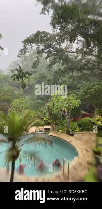 Rainy Tropical Pool Surrounded By Palms, Hotel Guests Swimming In ...