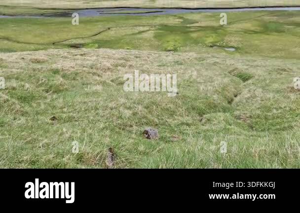 Panoramic view of a foggy mountain and a winding river in a green ...