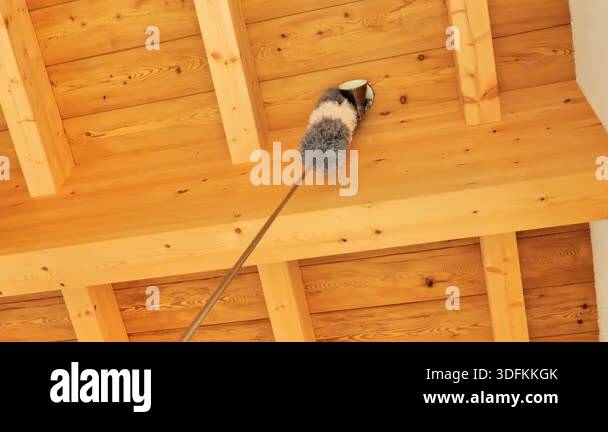 Dust cleaning.pipidastra brush cleans metal lamps under a wooden ...