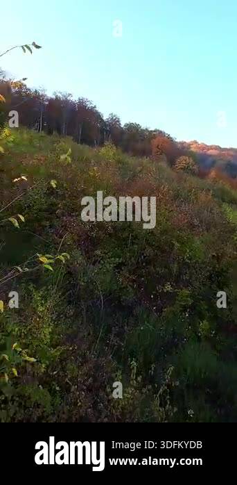 Vertical aerial FPV drone footage of a rider in blue gear navigates a ...