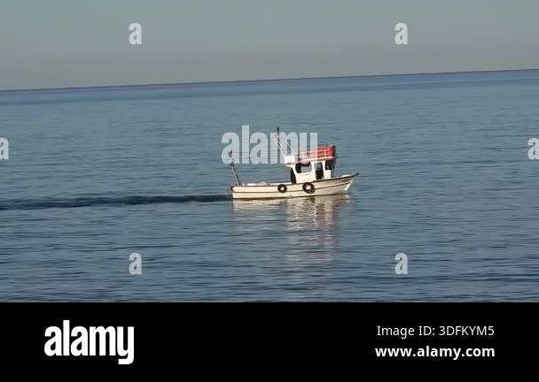 green trees forest landscape video Stock Video Footage - Alamy