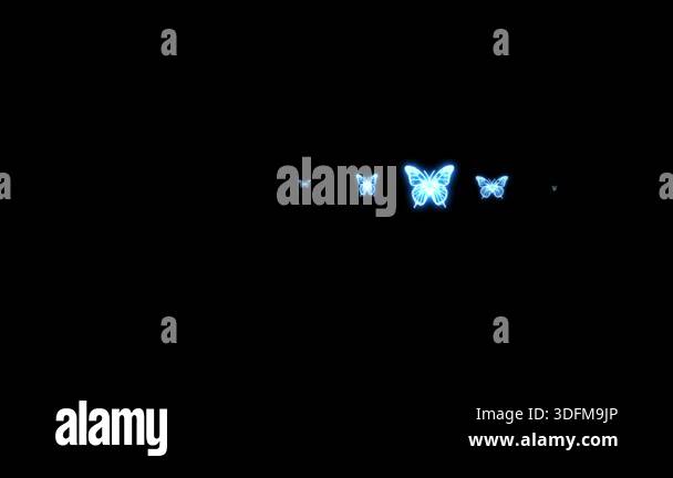 Glowing magic neon butterflies line motion graphics with plain black ...