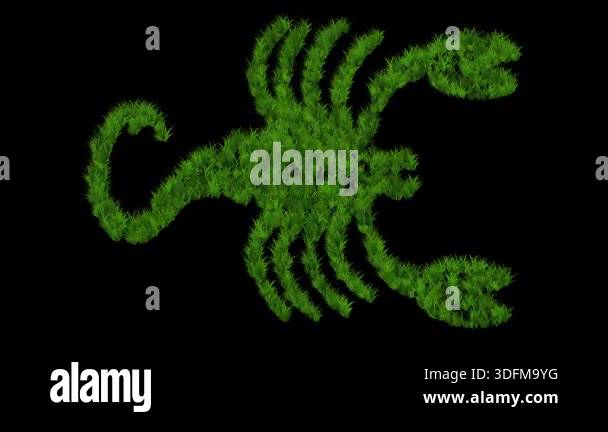 Scorpion symbol with growing green grass effect on plain black ...