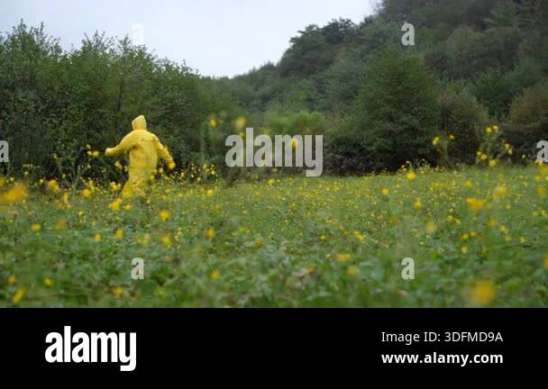 Yellow raincoat figure in flower meadow, walking through rainsoaked ...