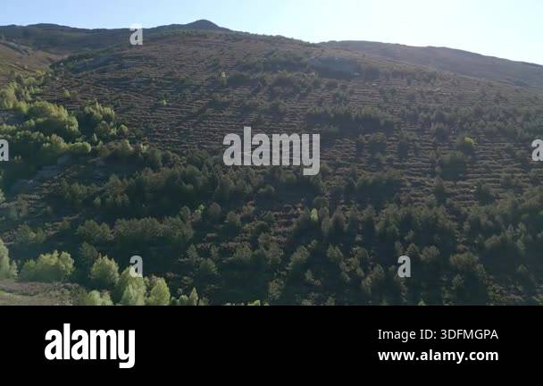 Sun rising between the green mountains in spring, Somosierra, Madrid ...