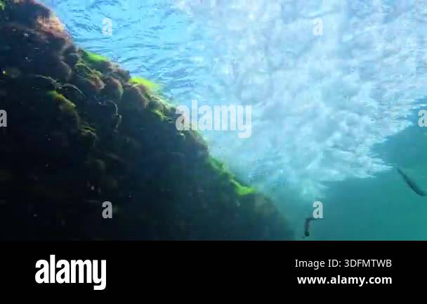 Black Sea, a wave rolls over a concrete pier overgrown with mussels and ...