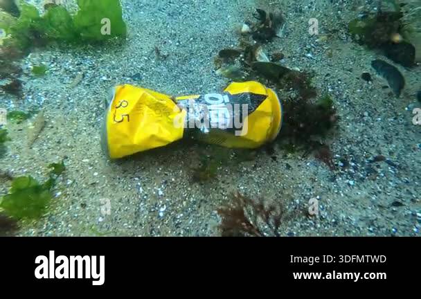 Sea pollution, an aluminum can on the sandy seabed, Black Sea Stock ...