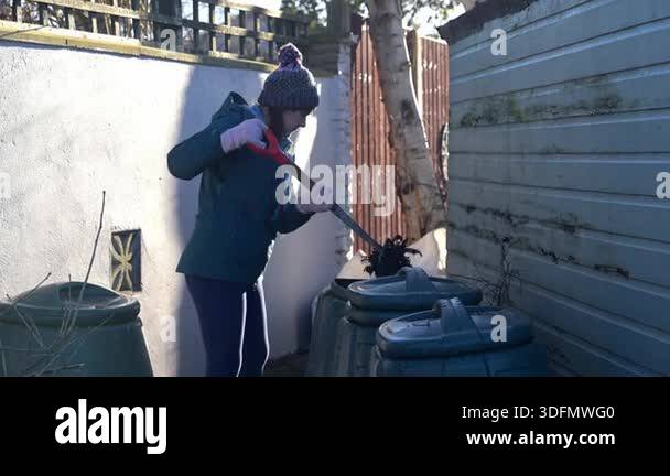 Capturing a female gardener turning leaf mould and grass and fruit tree ...