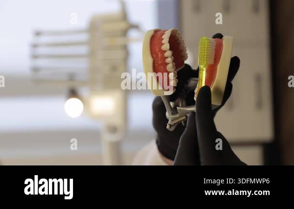 Dental professional showing the correct technique for brushing teeth on ...