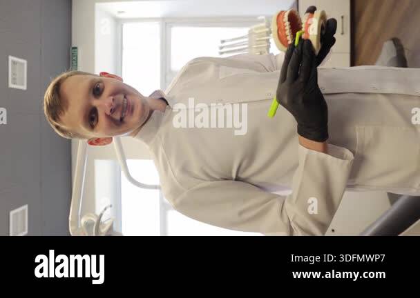 Professional dentist explaining dental hygiene using a jaw model and a ...