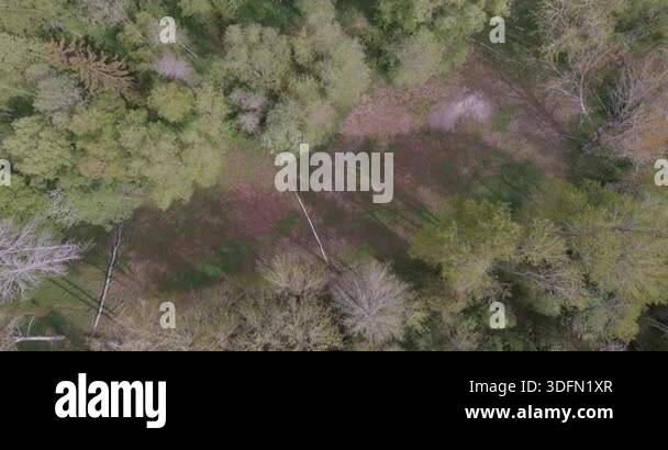 Aerial view of Uuejarv hole (sinkhole) is a karstic hole, it is the ...