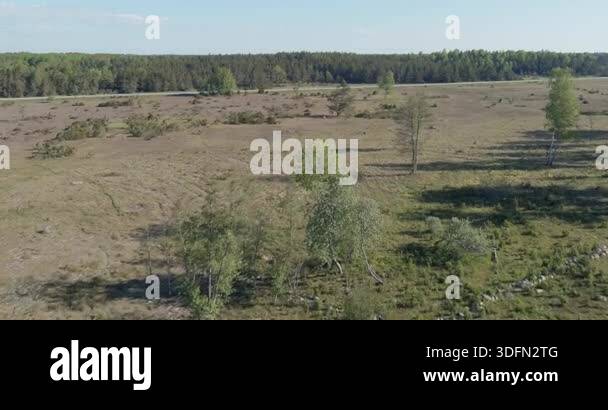 Aerial view of alvars (thin-soiled semi-natural grasslands on limestone ...
