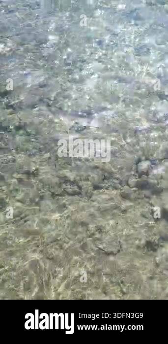 Clear water surface shows sunlight reflections while revealing rocky ...