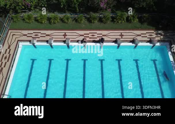 Aerial View of Swimmers Diving into Pool Stock Video Footage - Alamy