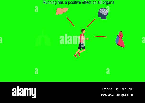 Running Human Facing Brain Animation How Exercise Affects the Brain ...