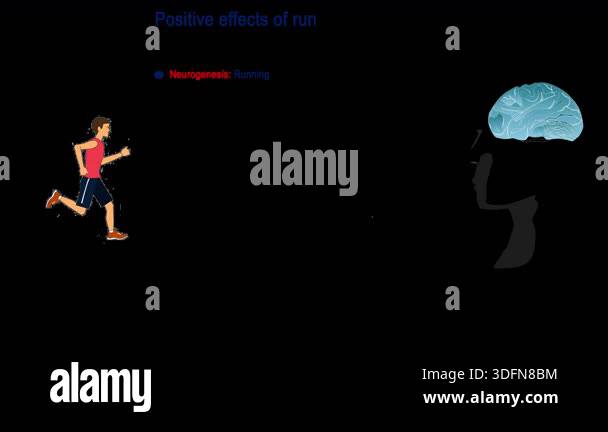 Running Human Facing Brain Animation How Exercise Affects the Brain ...