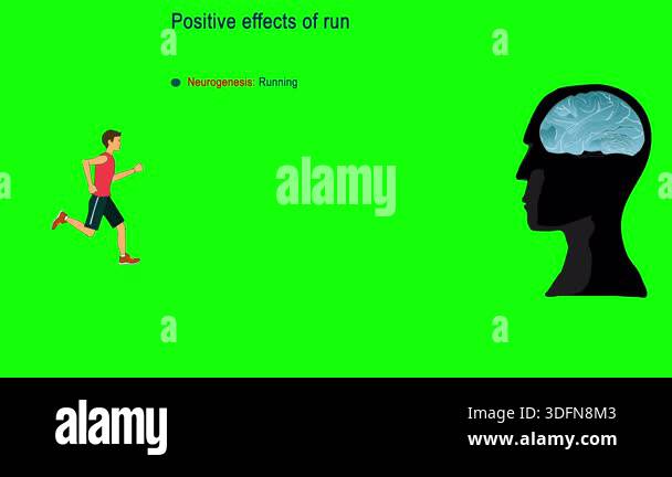 Running Human Facing Brain Animation How Exercise Affects the Brain ...