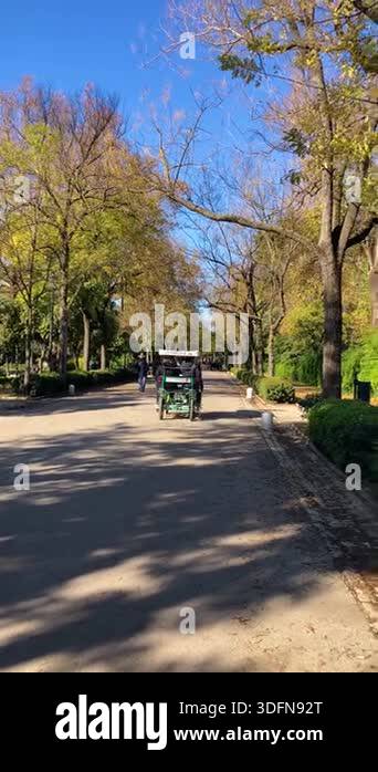 SEVILLA, SPAIN - DECEMBER 25, 2025: Soft morning light filters through ...