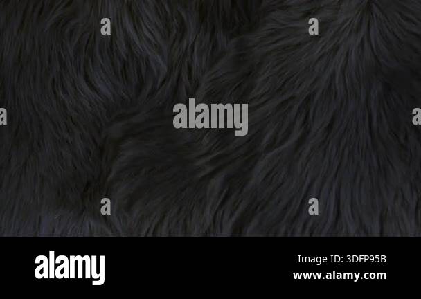 Waving Real Black Animal Fur Texture Background in Slow Motion, 1000fps ...