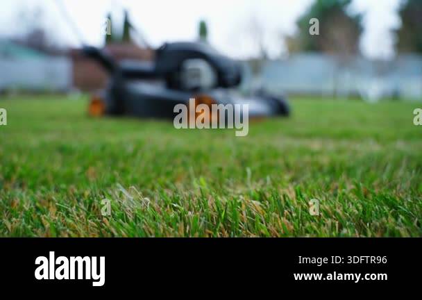 Smooth camera movement over green lawn grass, lawn mower in the ...