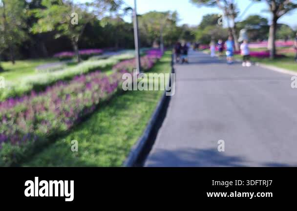 4K VIDEO footage. Sunny blurred view people jogging along paved park path lined with vibrant ...