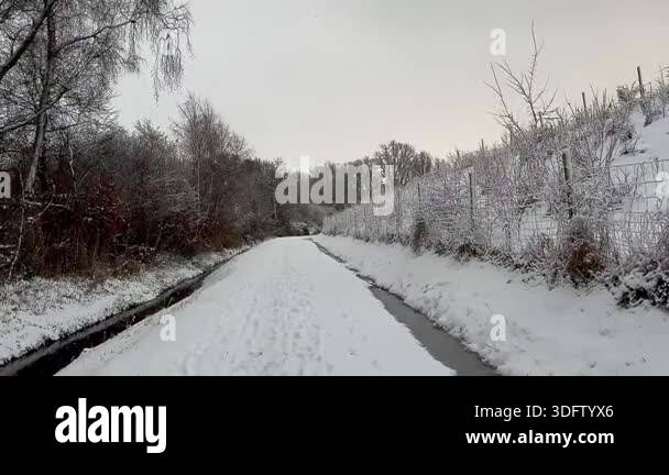A video taken in winter on a snow-covered forest path with snow in the ...