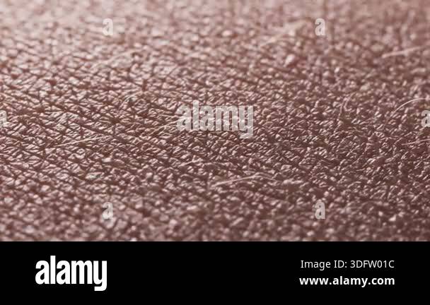 HD video of extreme macro human skin texture showing fine vellus hair ...