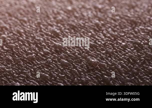 HD video of extreme macro human leg skin texture after depilation ...