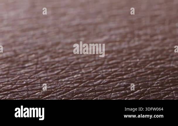 HD video of extreme macro human leg skin texture after depilation ...