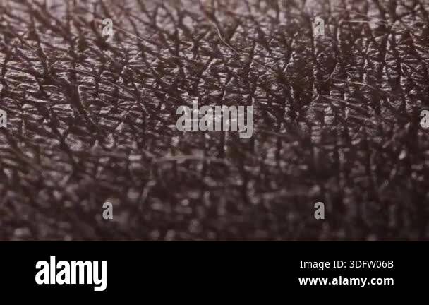 HD video of extreme macro human skin texture showing fine vellus hair ...
