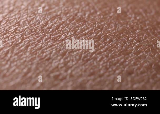 HD video of extreme macro human leg skin texture after depilation ...