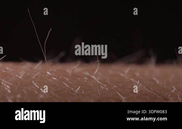 HD video of extreme macro human skin texture with fine vellus hair ...
