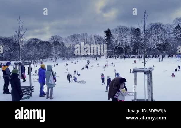 Berlin, Germany - January 4, 2026: Families with children sledding and ...