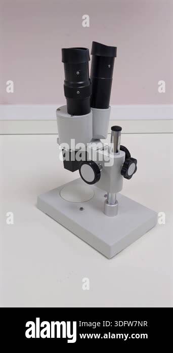 A person wearing blue gloves adjusts a microscope to examine a small ...