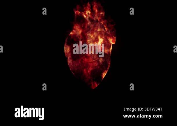Heart on fire animation. Realistic fire on heart animation. 4k ...