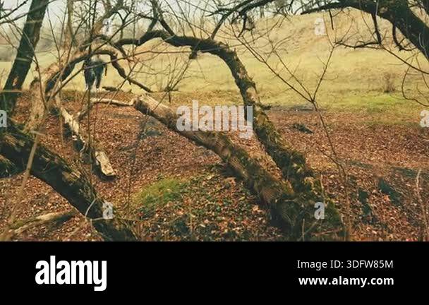 Athletes running together across open landscape. Concept of freedom ...