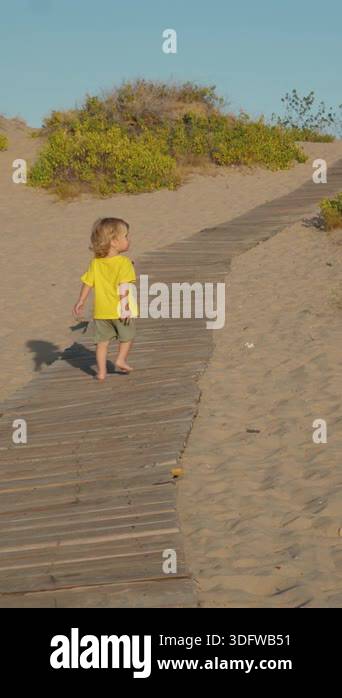 Small child explores wooden path that winds through warm, golden dunes ...