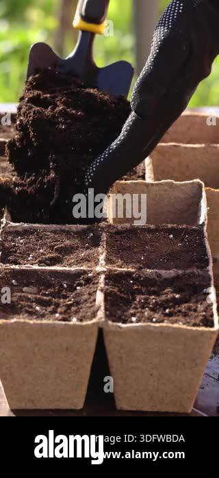 Farmer's hand in a glove using a small shovel to carefully fill ...